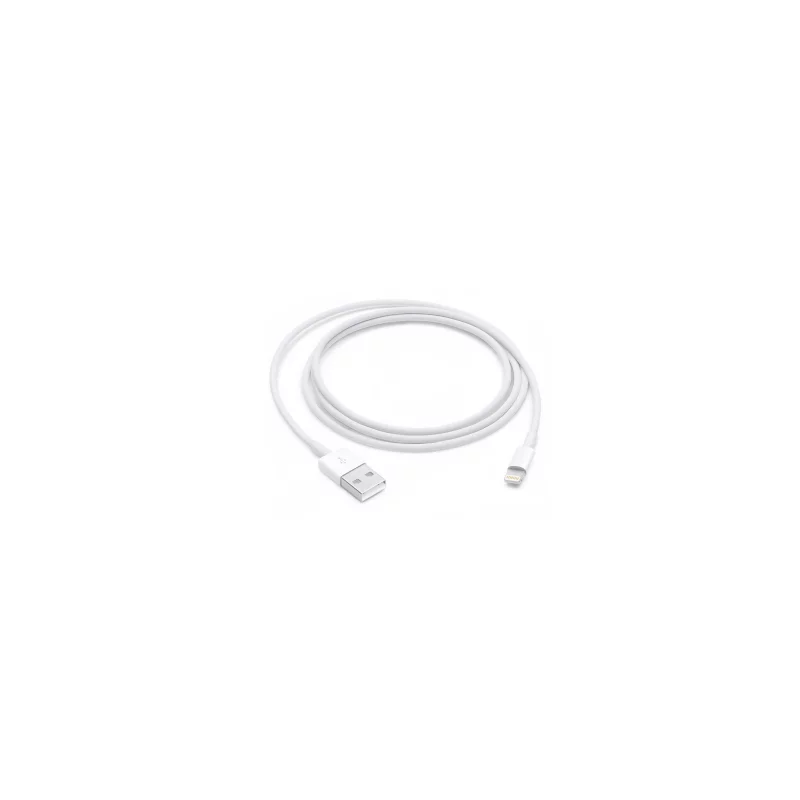 Punjači za iPhone | Apple Premium Reseller - Dodaci - iPhone